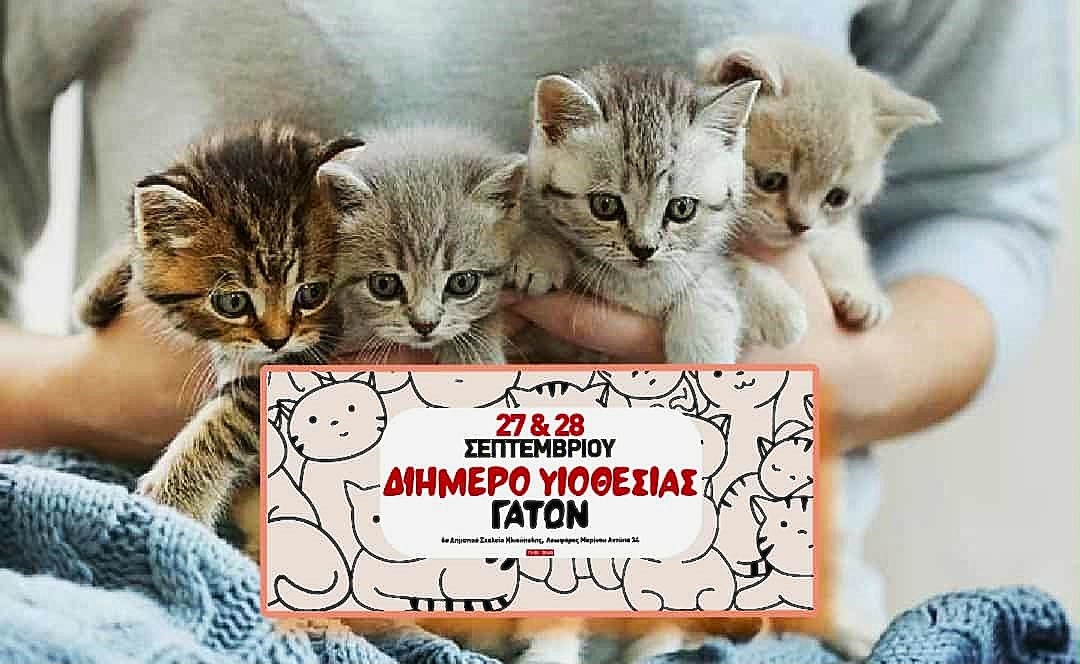 ΖΕΗ: Διήμερο υιοθεσίας γατών στο 6ο Δημ. Σχολείο 27 - 28 Σεπτεμβρίου ...